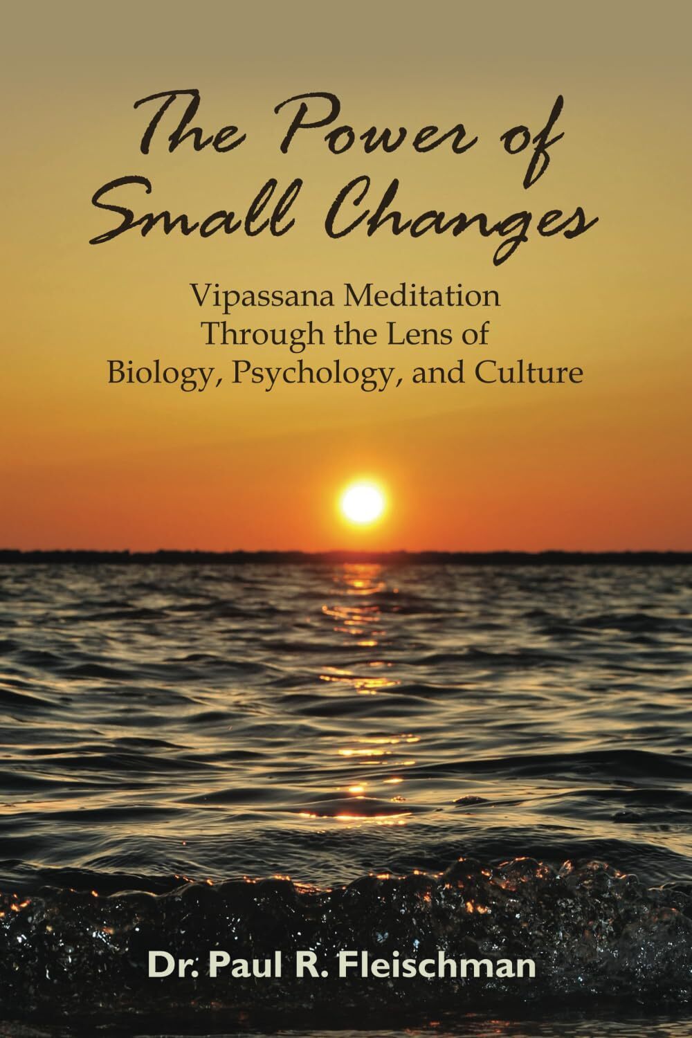 The Power of Small Changes: Vipassana Meditation Through the Lens of ...
